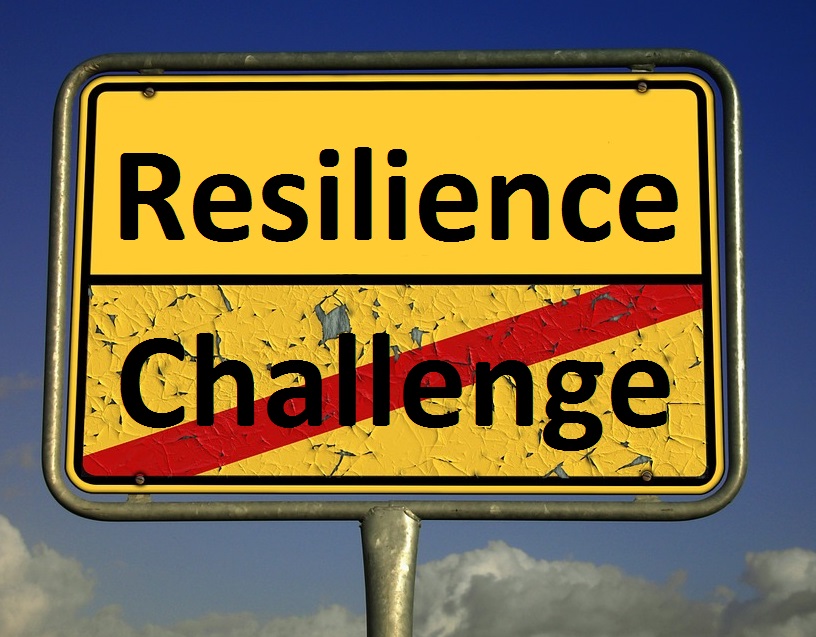 Resilience and its Core Principles – The Key to Sustainable Village ...