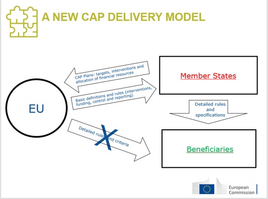 CAP Strategic Plans: Where is LEADER? – LDnet
