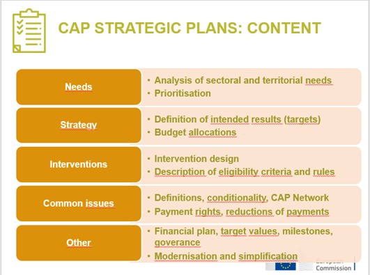 CAP Strategic Plans: Where is LEADER? – LDnet
