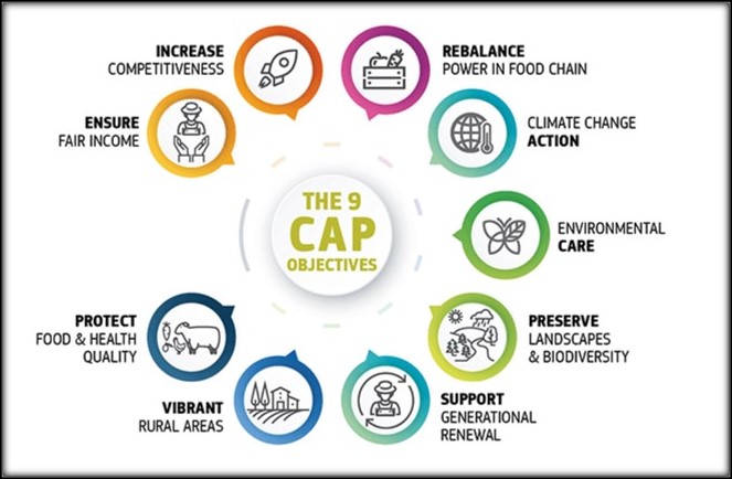 CAP Strategic Plans: Where is LEADER? – LDnet