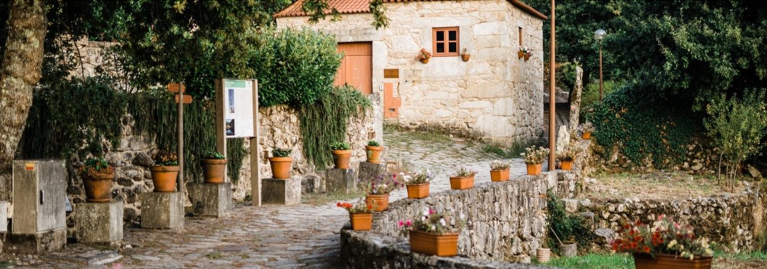 Fostering rural resilience: first results and newsletter of the REBOUND ...